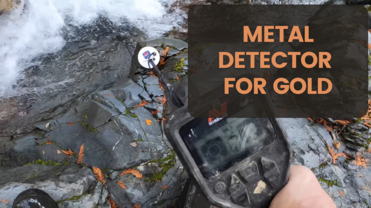 11 Best Metal Detector for Gold 2024 - Powerful & Effective