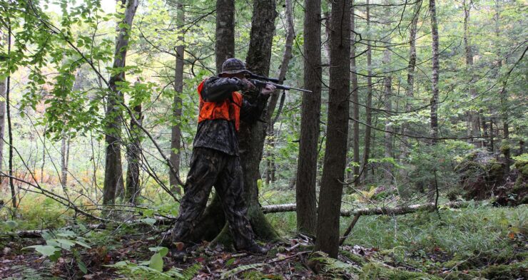 Grand Slam Turkey Hunt The 15 Best States - Hunting Competition