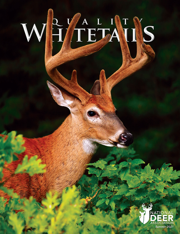 9 Of The Best Deer Hunting Magazines To Subscribe To 2024