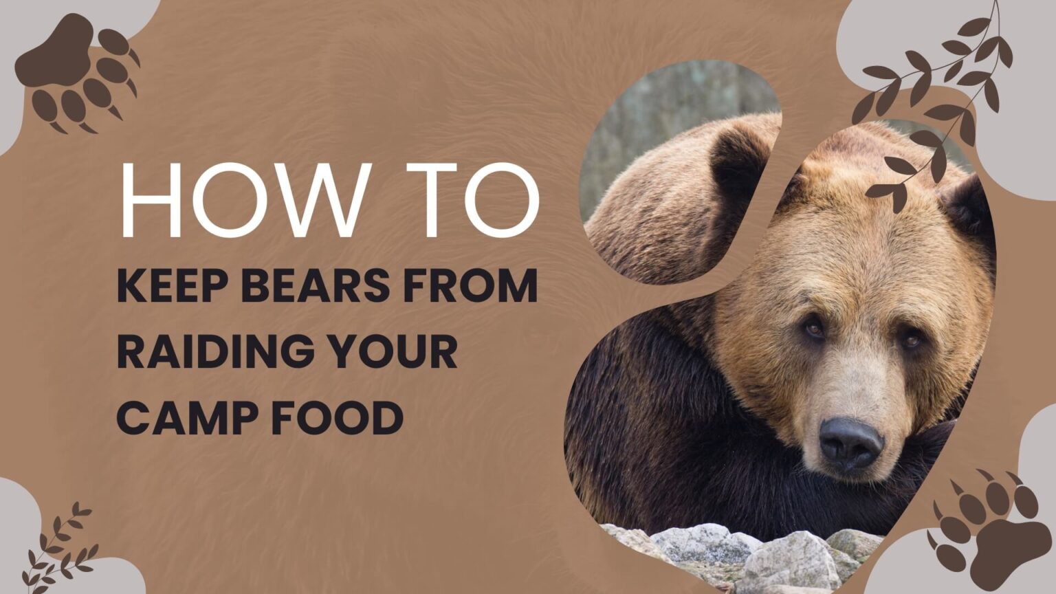 How to Keep Bears From Raiding Your Camp Food - Base Outdoor