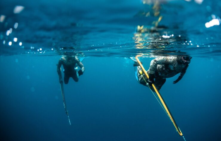 What To Look For In Your First Speargun For Spearfishing - Base Outdoor