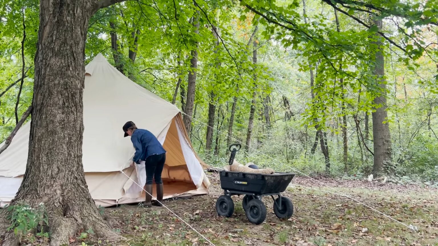 Camping and Sustainability: How to Reduce Your Environmental Impact ...