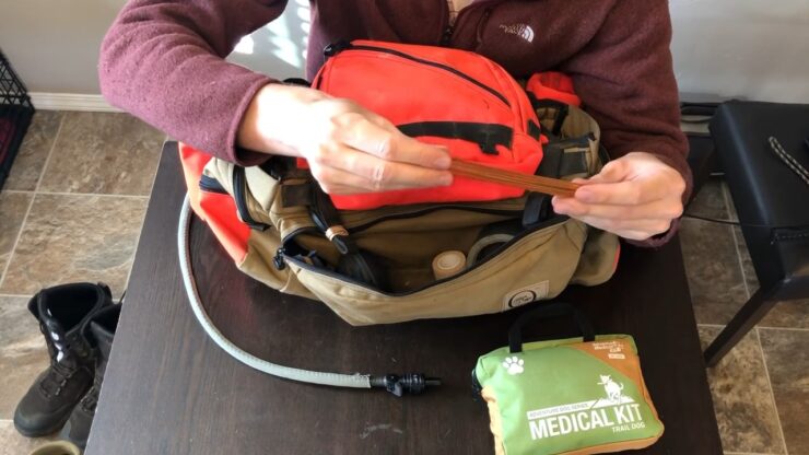 How to Get Started with Bird Hunting? - 101 Beginner Guide