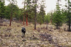 The Role of Hunting in Wildlife Conservation: Beyond the Crosshairs ...